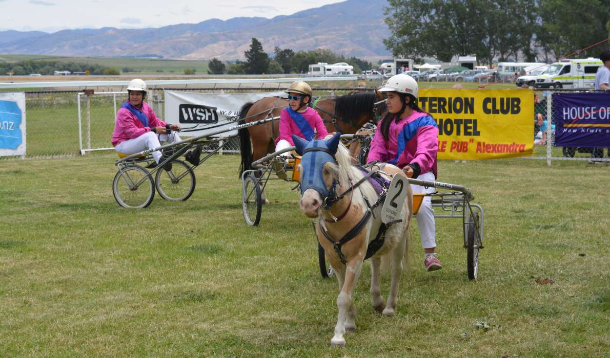 Omakau Trots | Central Otago NZ