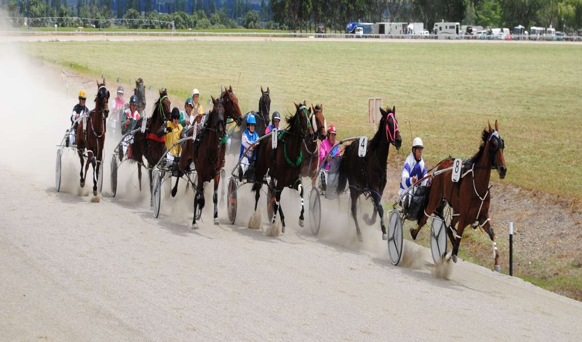Omakau Trots | Central Otago NZ