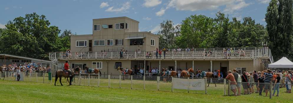 Gallop South - Cromwell Race Day | Central Otago NZ