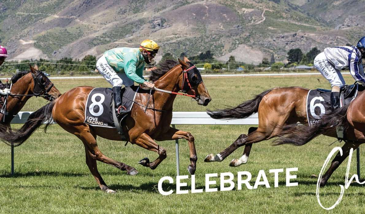 Cromwell Christmas at The Races | Central Otago NZ