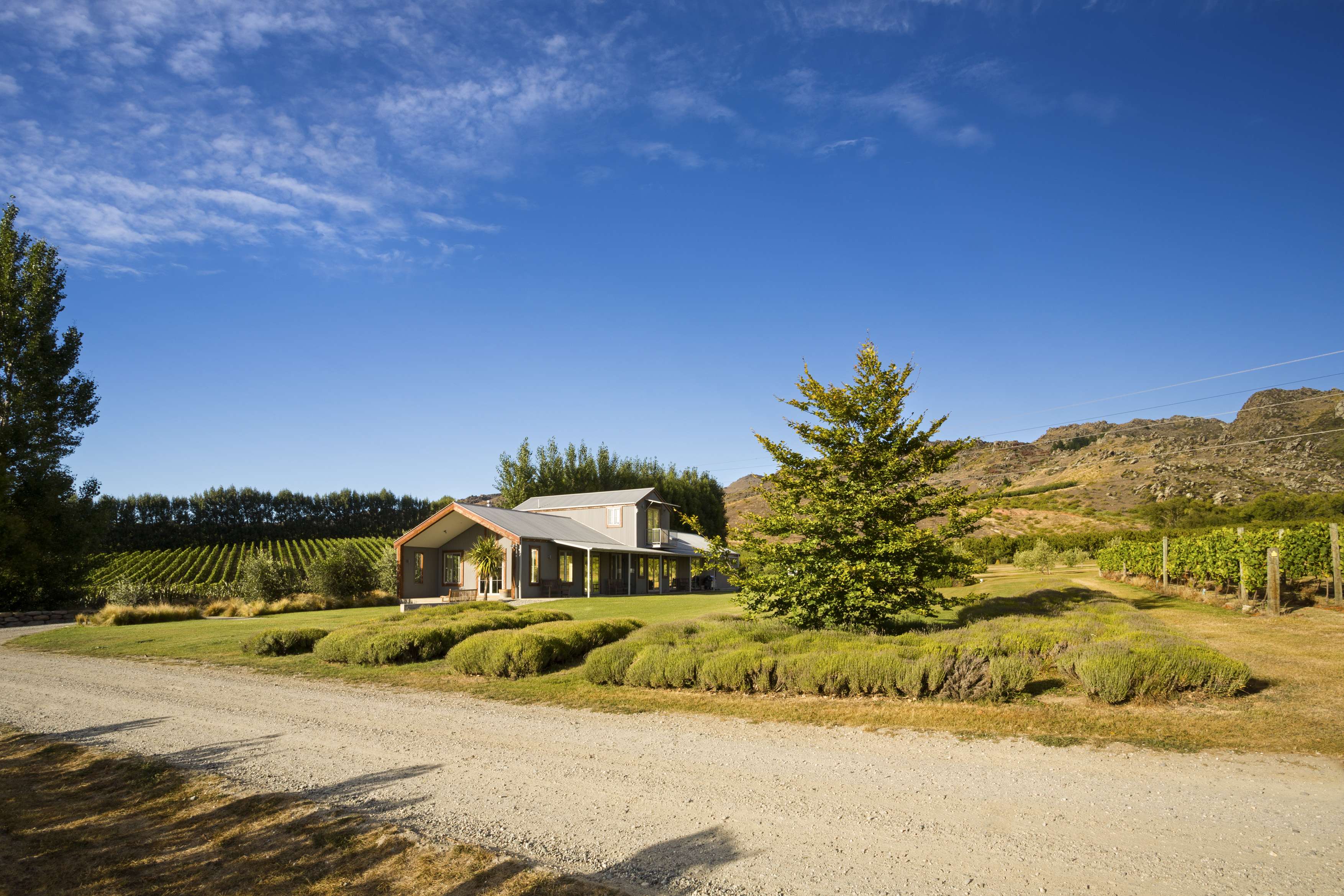 Two Paddocks Vineyard | Central Otago NZ