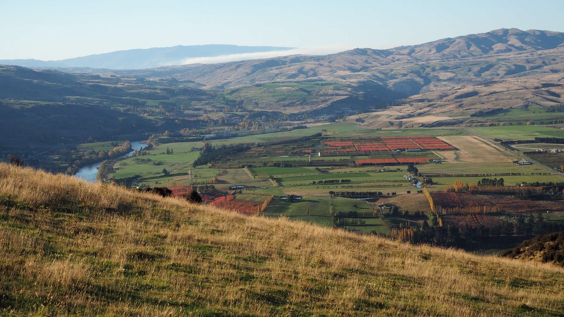 Bullock Track | Central Otago NZ
